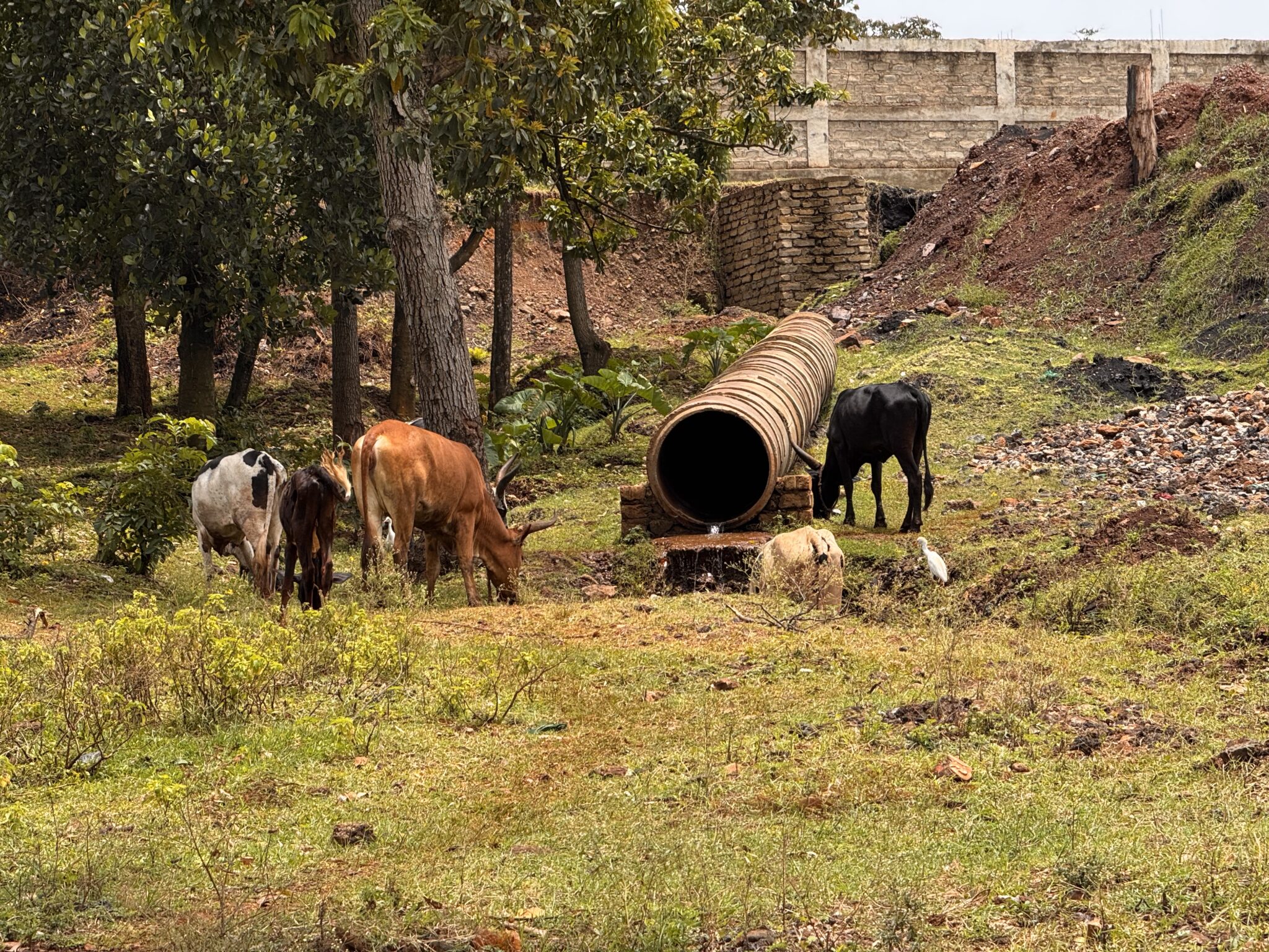 One Ugandan Village’s Fight Against Industrial Pollution - The ...